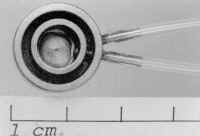 Sialometry and sialochemistry